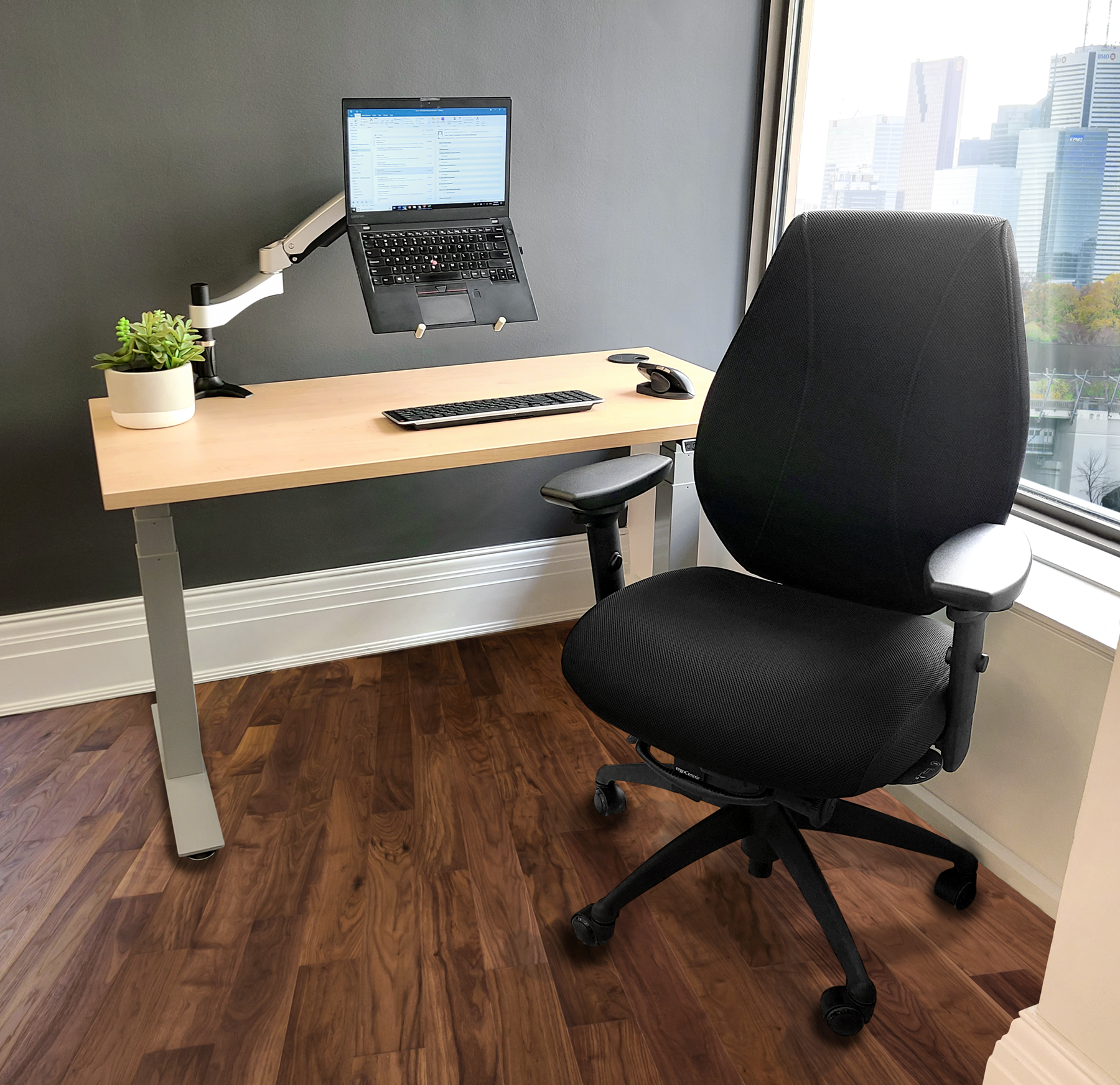 Next Day Shipping – ergoCentric Store US